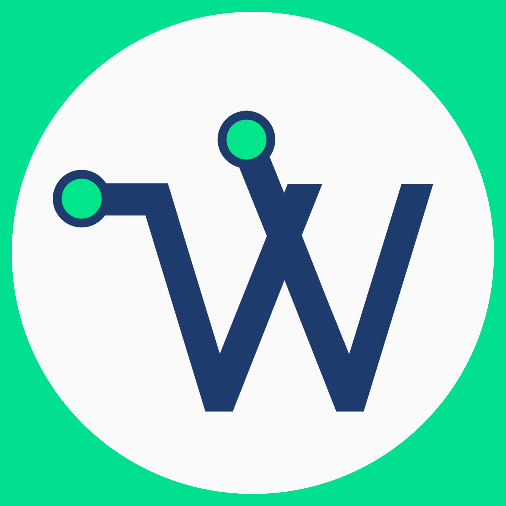 המלצות על Wiseflow - מידע וחוות דעת (2025) מהמומחים - EXPERT